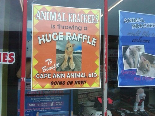 Animal Krackers - 11 Reviews - Pet Stores - 232 Main St, Gloucester, MA ...
