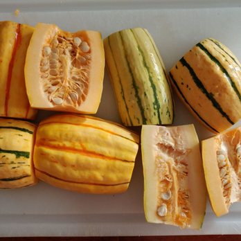 Sub Edge Farm - 16 Photos - CSA - 199 Town Farm Rd, Farmington, CT - Yelp