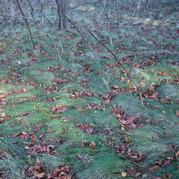 Mass Audubon’s Habitat Education Center & Wildlife Sanctuary - 29 ...