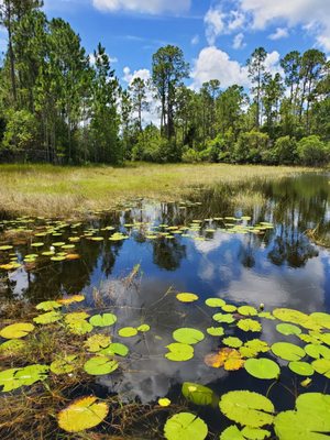 Osteen, FL Map & Directions - MapQuest