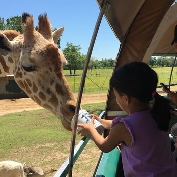 Global Wildlife Center - 437 Photos & 90 Reviews - Zoos - 26389 Hwy 40 ...