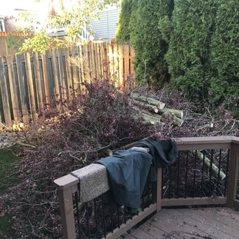 Evergreen Tree Services - 11 Photos & 35 Reviews - Tree Services ...