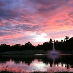 Elk Grove Regional Park - 329 Photos & 64 Reviews - Parks - 9950 Elk ...