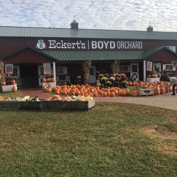 Eckert’s Orchard - 68 Photos & 29 Reviews - Pick Your Own Farms - 1396 ...
