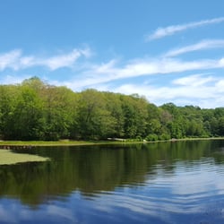 Salmon River State Forest - 34 Photos - Parks - Comstock Bridge Rd ...