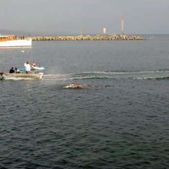 The North Jetty of Marina Channel - 101 Photos & 14 Reviews - Parks ...