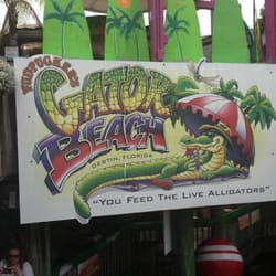 Gator Beach - Amusement Parks - Destin, FL - Yelp
