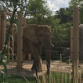 Cleveland Metroparks Zoo - 476 Photos & 168 Reviews - Zoos - 3900 ...