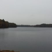 Cochituate State Park - 13 Photos & 24 Reviews - Parks - 43 ...