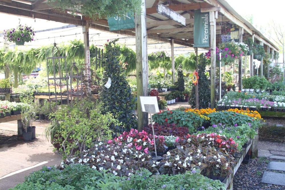 Green Oak - Landscaping - 5009 Old Canton Rd, Jackson, MS - Phone ...