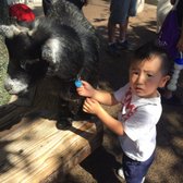 Adventure City - 353 Photos & 331 Reviews - Amusement Parks - 1238 S ...