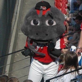 Carolina Mudcats Baseball - 2019 All You Need to Know BEFORE You Go ...