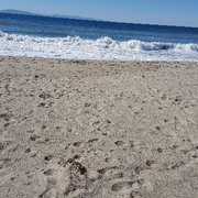 Beach At Oxnard Shores - 58 Photos - Beaches - 5th St & Mandalay Beach ...