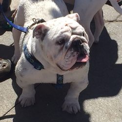 Papio Bay - Swimming Pools - 815 E Halleck St, Papillion, Papillion, NE ...