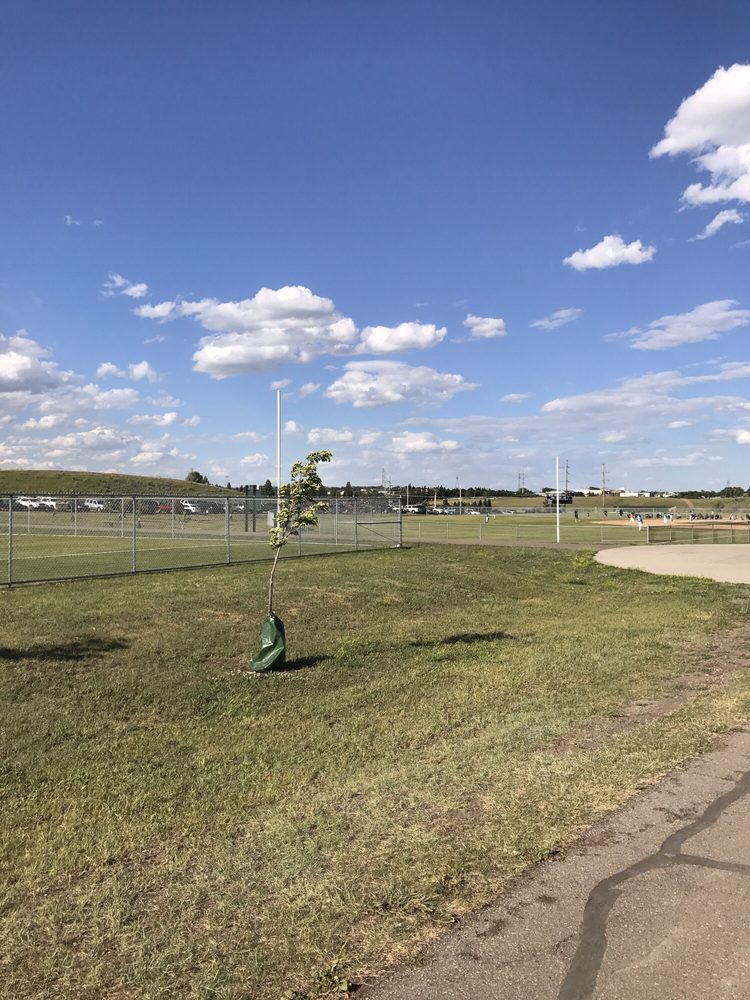 Scheels Sports Complex - Baseball Fields - 2000 Shiloh Dr, Bismarck, ND ...