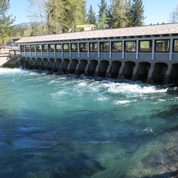 Fanny Bridge - 15 Photos - Landmarks & Historical Buildings - Sunnyside ...