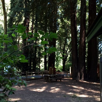 Samuel P Taylor State Park - 256 Photos & 163 Reviews - Parks - 8889 ...