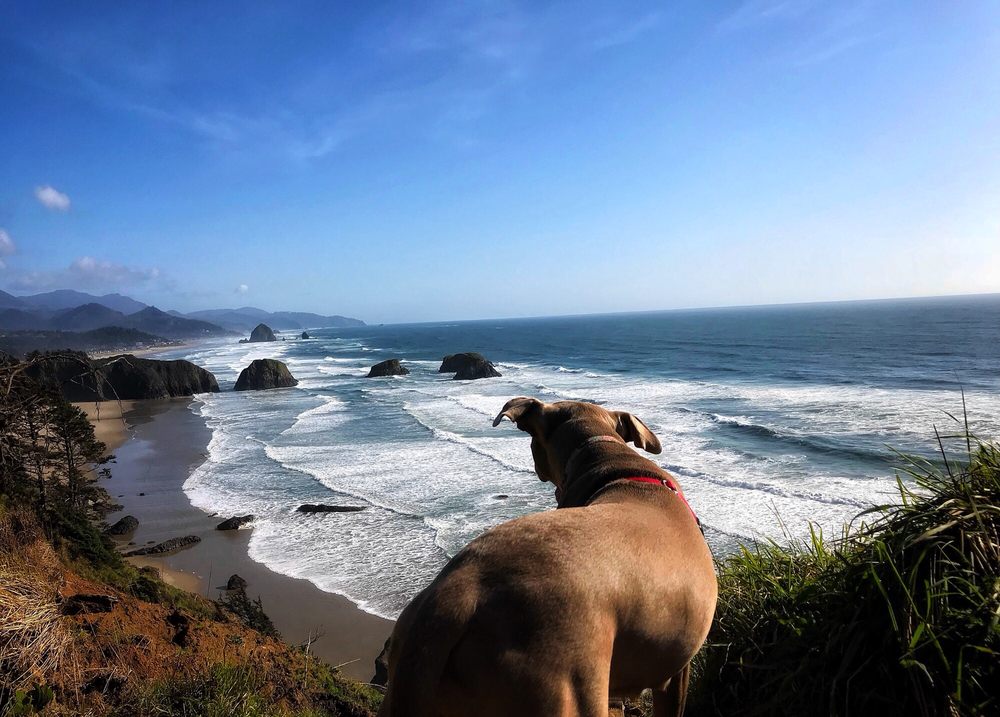 Totally Unique State Parks Worth a Visit - Tinybeans