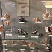 Garvies Point Museum & Preserve - 18 Photos & 12 Reviews - Museums - 50 ...