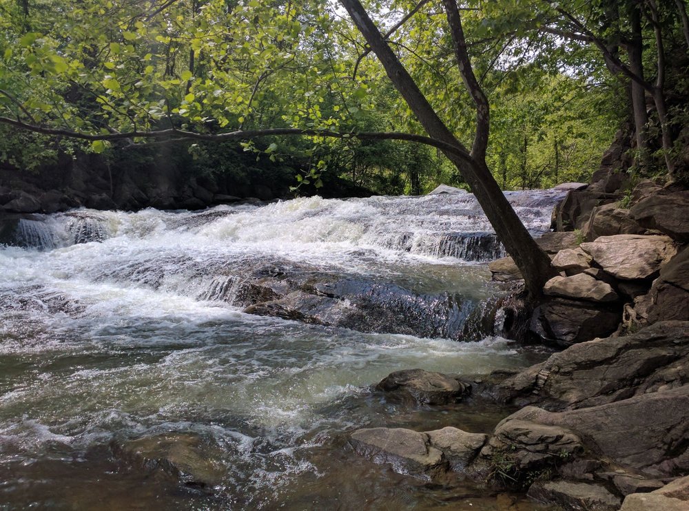 Patapsco Valley State Park - McKeldin Area - 14 Photos - Parks - 11676 ...