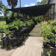 Plant Ranch Nursery - Nurseries & Gardening - 14108 Beach Blvd ...