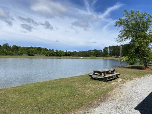 Colerain, NC Map & Directions - MapQuest