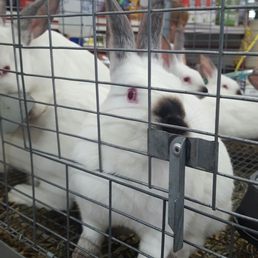 Rural King - Home & Garden - 1476 Upper Valley Pike, Springfield, OH ...