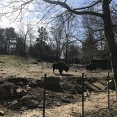 Connecticut’s Beardsley Zoo - 134 Photos & 80 Reviews - Zoos - 1875 ...