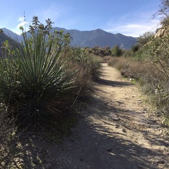 Trail Canyon Falls - 193 Photos & 44 Reviews - Hiking - Trail Canyon Rd ...