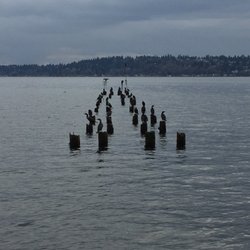 Log Boom Park - 50 Photos & 20 Reviews - Parks - 6100 NE 175th St ...