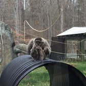 Greensboro Science Center - 172 Photos & 54 Reviews - Zoos - 4301 ...