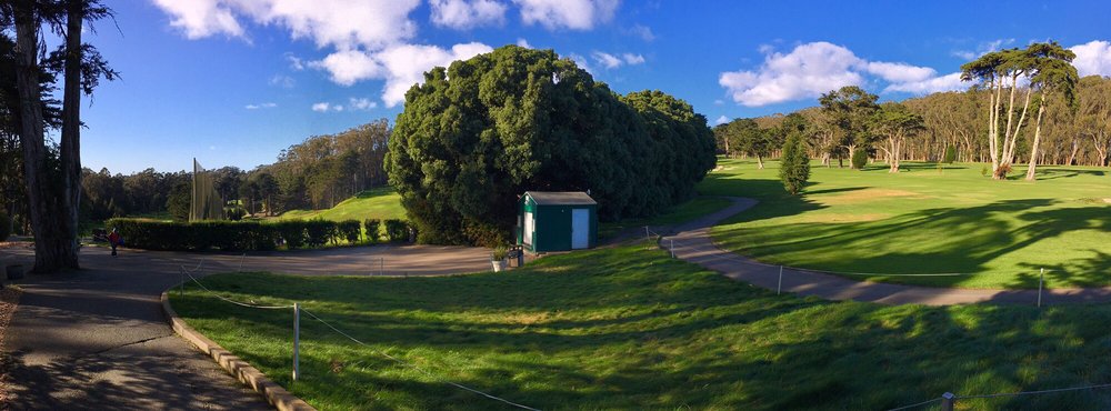 Presidio Golf Course - 77 Photos & 235 Reviews - Golf - 300 Finley Rd ...