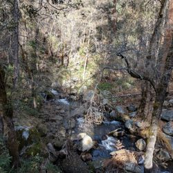 Lewis Creek Trail - 2019 All You Need to Know BEFORE You Go (with ...