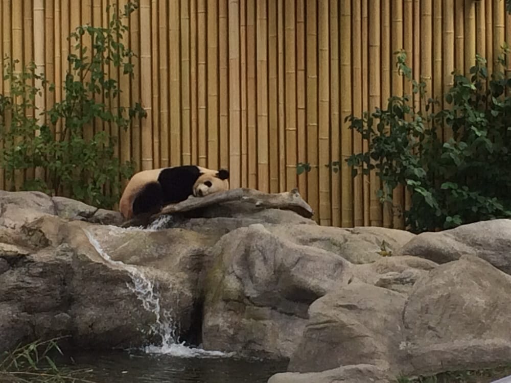 Toronto Zoo - 512 Photos & 153 Reviews - Zoos - 2000 Meadowvale Road ...