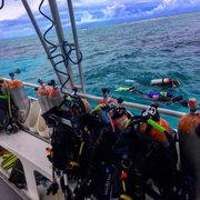 Rainbow Reef Dive Center - 60 Photos & 151 Reviews - Scuba Diving ...