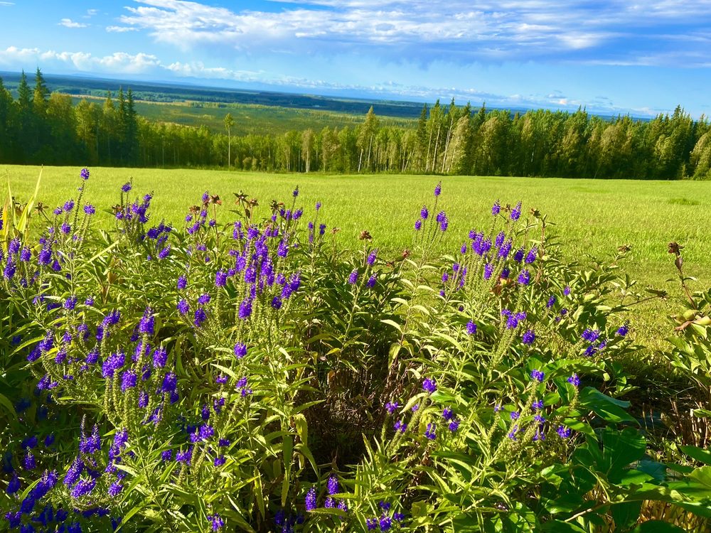 Fort Wainwright Army Base in Fairbanks, AK | MilitaryBases.com