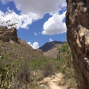 Ventana Canyon Hiking Trail - 36 Photos & 19 Reviews - Hiking - 7000 N ...