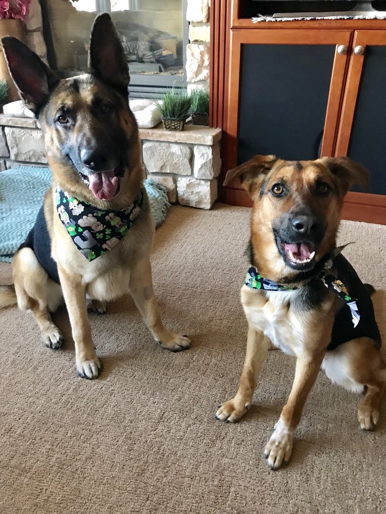 Boise Dog Barber Shop - 13 Reviews - Pet Training - 6732 N Glenwood St ...