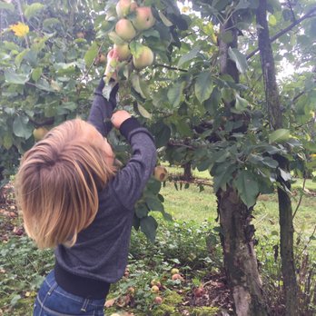 Evans Orchard & Cider Mill - 224 Photos & 48 Reviews - Fruits & Veggies ...