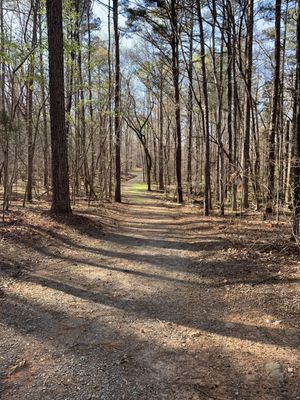 Snow Camp, NC Map & Directions - MapQuest