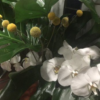 José - 148 Photos & 130 Reviews - Mexican - 4931 W Lovers Ln, Dallas ...