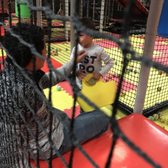 Wacky Tacky - 175 Photos & 210 Reviews - Kids Activities - 11327 Folsom ...