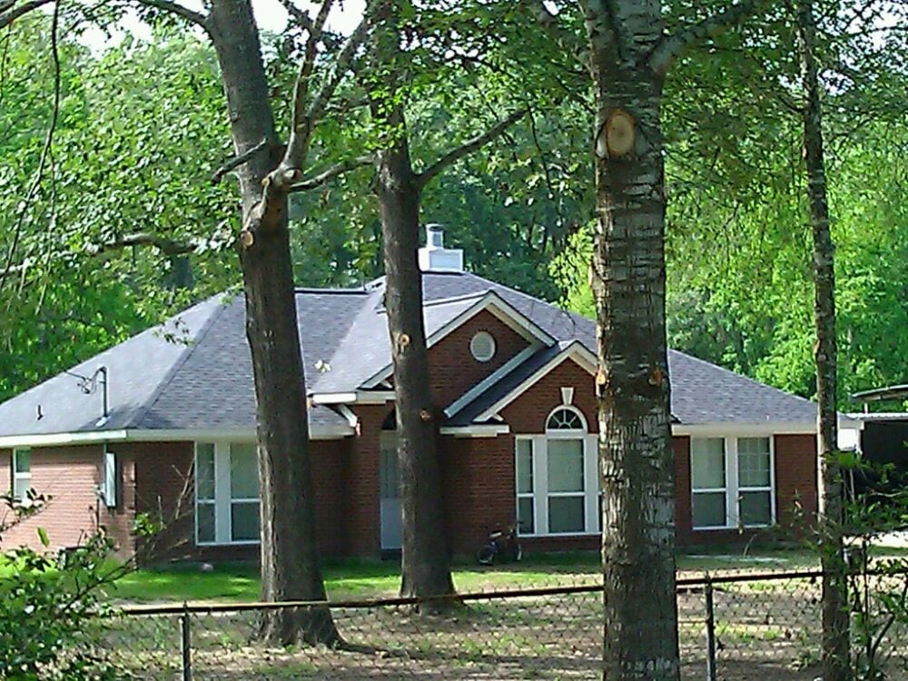 TNT Tree Service - 326 Photos & 20 Reviews - Tree Services - 2261 ...