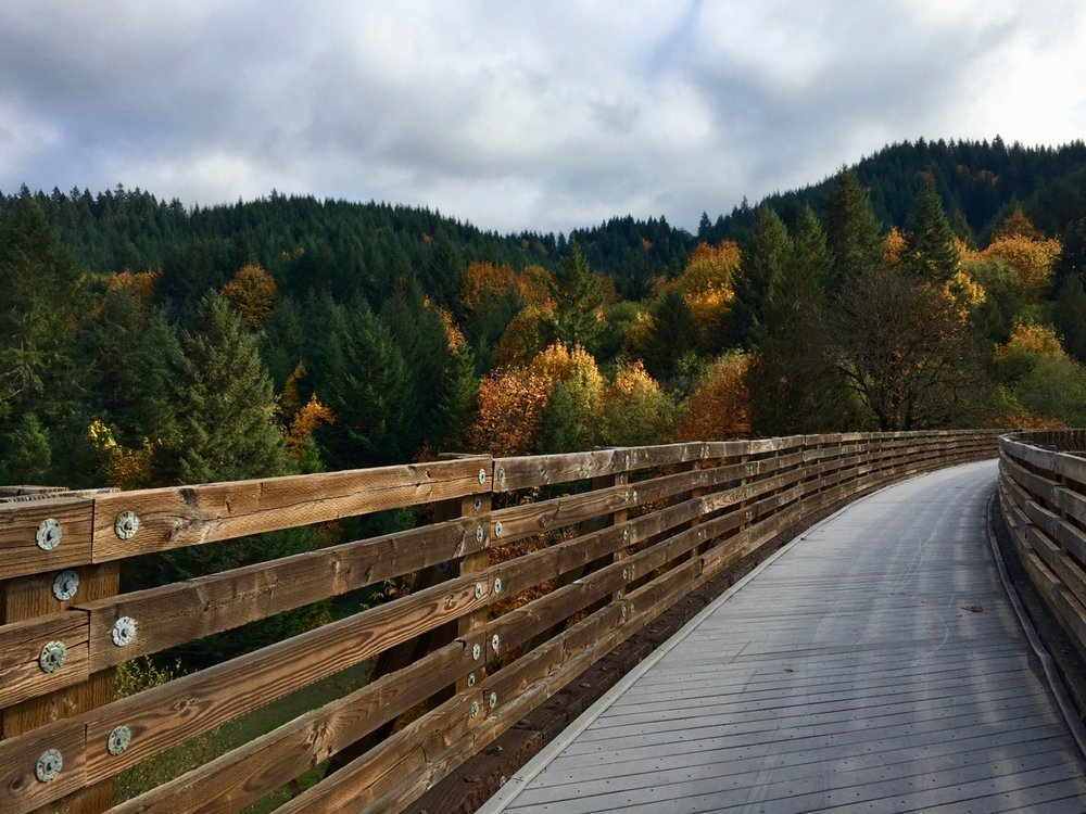 Stub Stewart State Park - 42 Photos & 25 Reviews - Parks - 30380 NW Hwy ...
