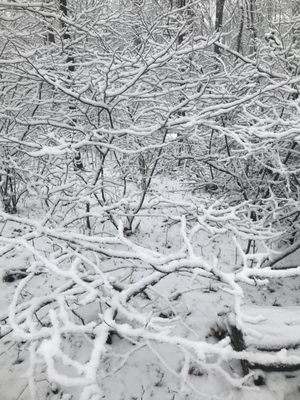 Curtice, OH Map & Directions - MapQuest