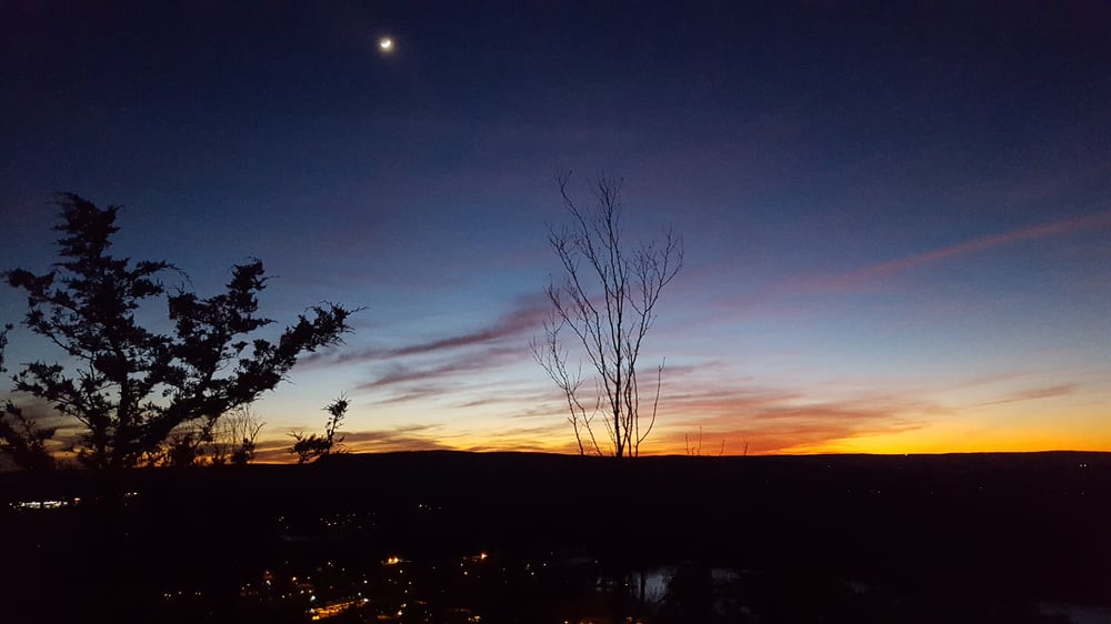 Giuffrida Park - 42 Photos & 22 Reviews - Hiking - 800 Westfield Rd ...