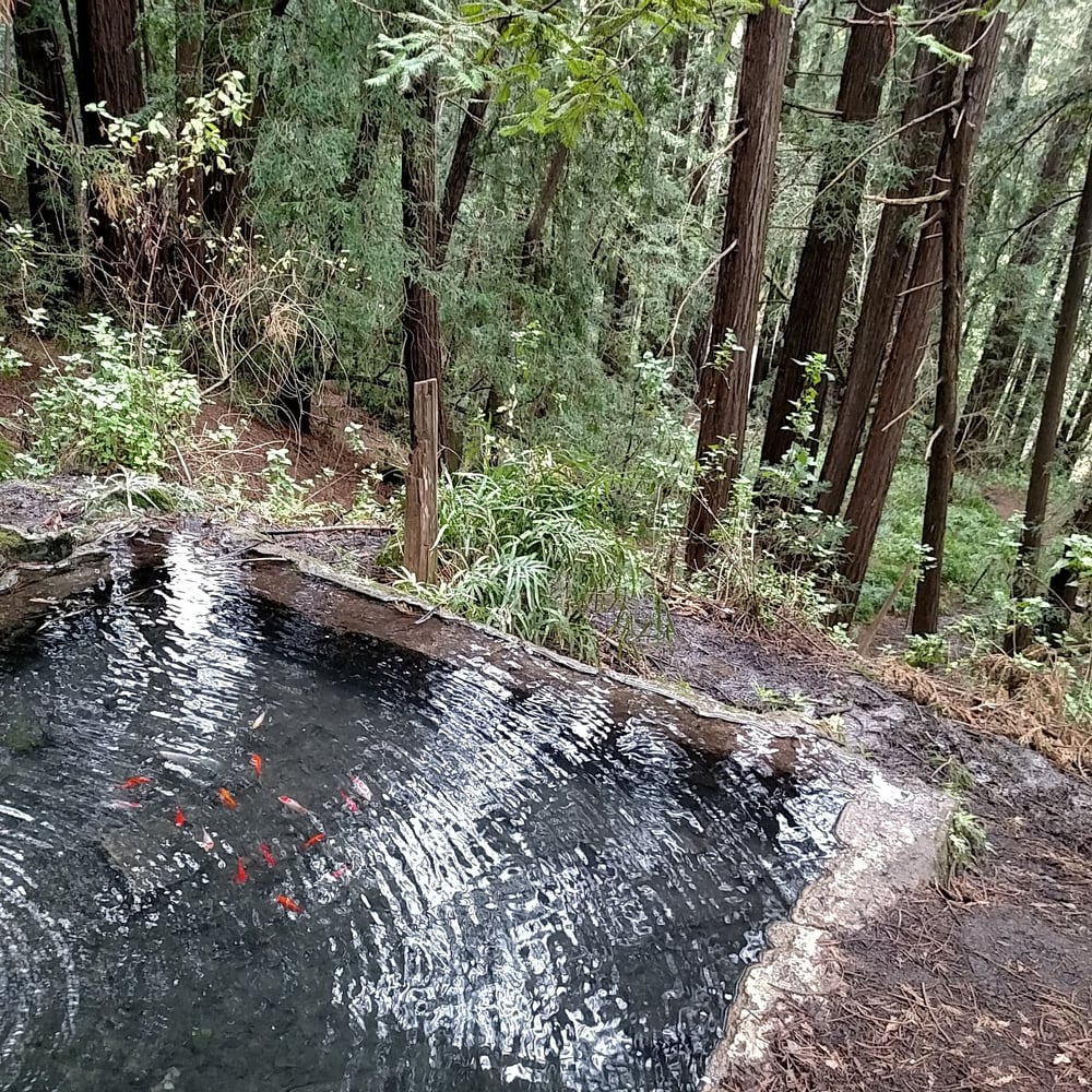 Pogonip - 28 Photos & 20 Reviews - Parks - 333 Golf Club Dr - Santa ...