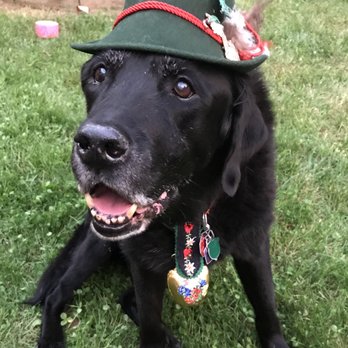 Tree House Brewing Company - 214 Photos & 67 Reviews - Breweries - 129 ...