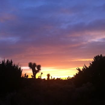 Prime Desert Woodland Preserve - 61 Photos & 31 Reviews - Local Flavor ...