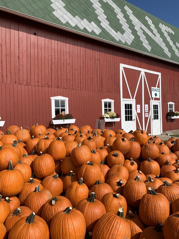 Long Family Orchard & Farm, Michigan | Roadtrippers